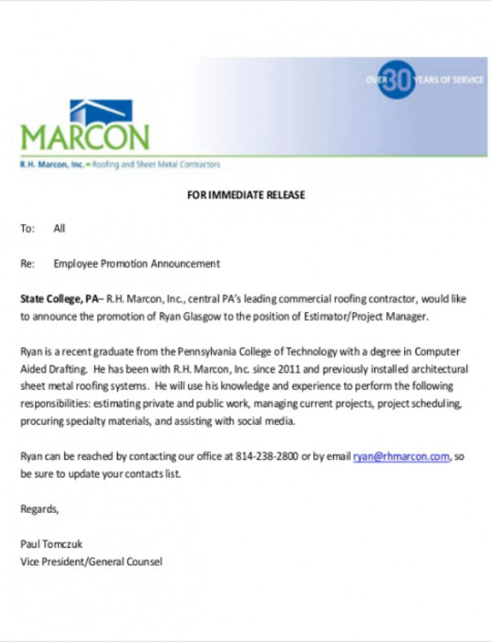 External Audit Planning Memorandum Template