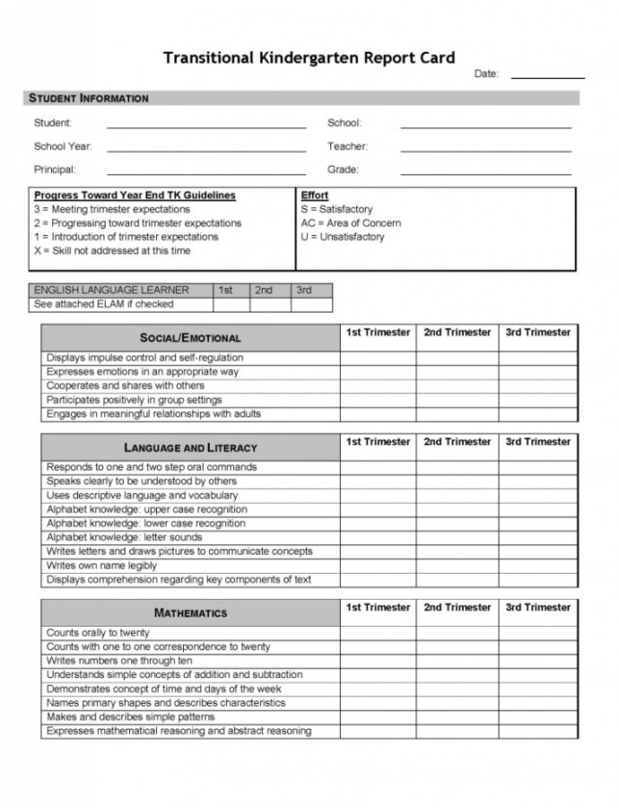 Police Report Template For Students