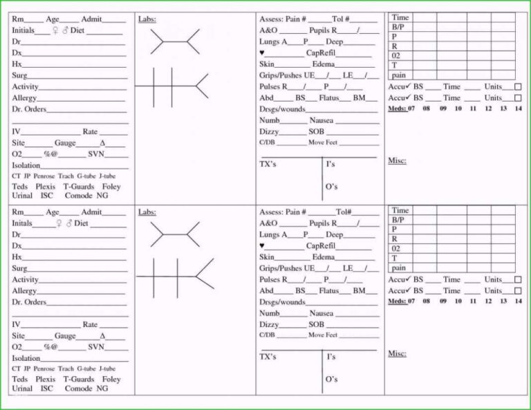 Printable Icu Report Sheet Template Excel - Tacitproject