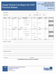 Ems Report Template