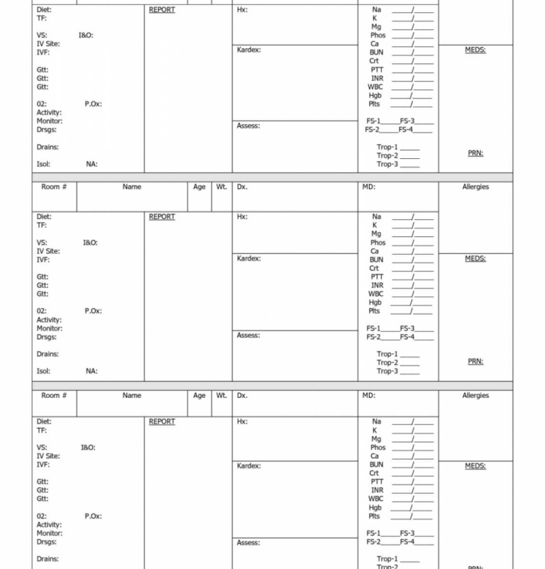 Professional Psychiatric Nursing Shift Report Template Example ...