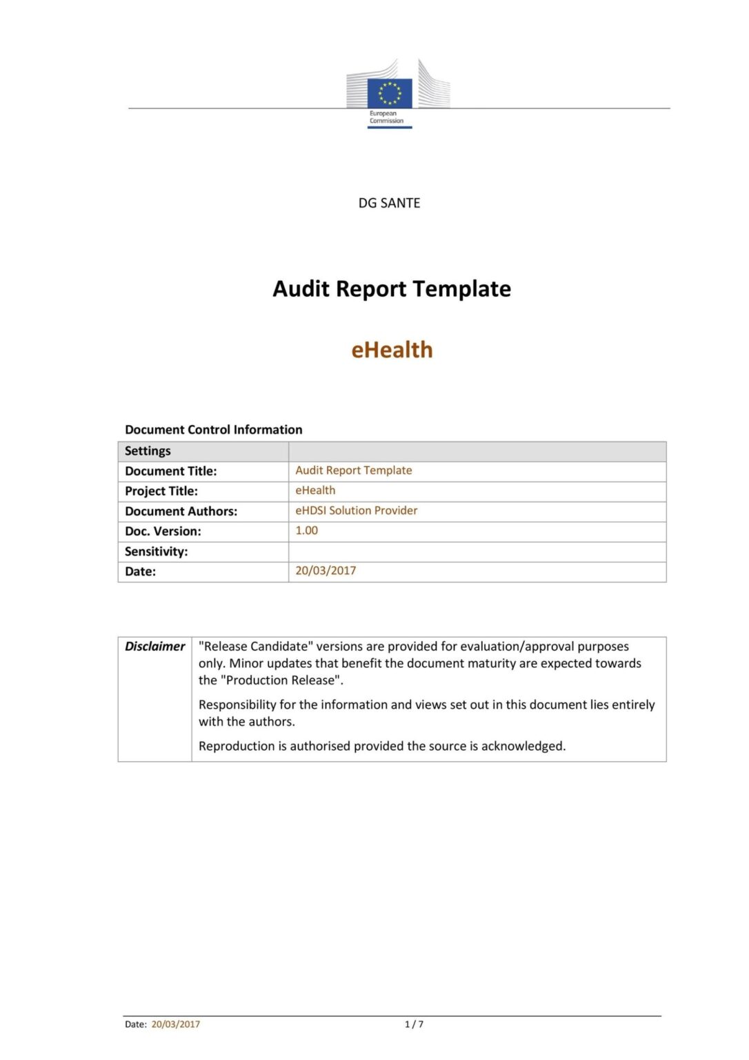 Professional Template For Audit Report Excel Example - Tacitproject