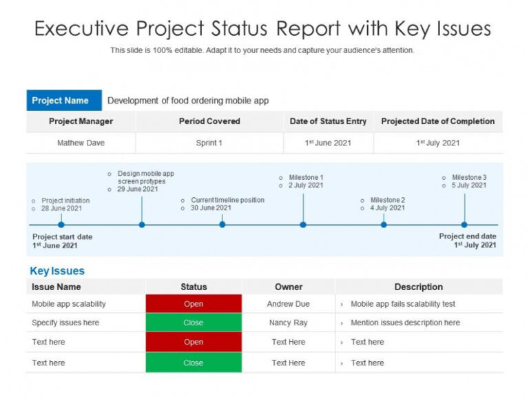 10 Editable Executive Summary Status Report Template Docx Tacitproject