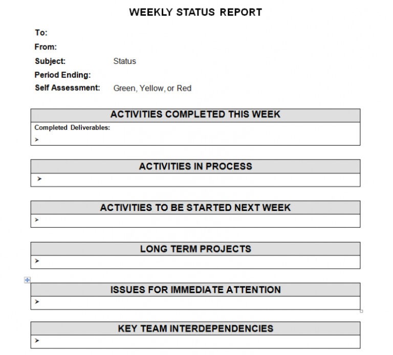 7 Editable Bi Weekly Status Report Template Excel - Tacitproject