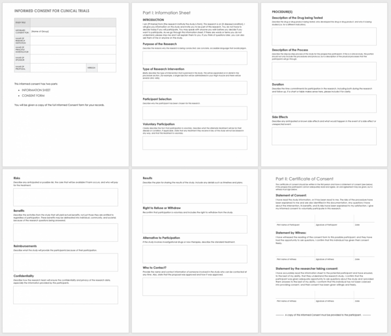 Free Editable Clinical Trial Audit Report Template Excel - Tacitproject