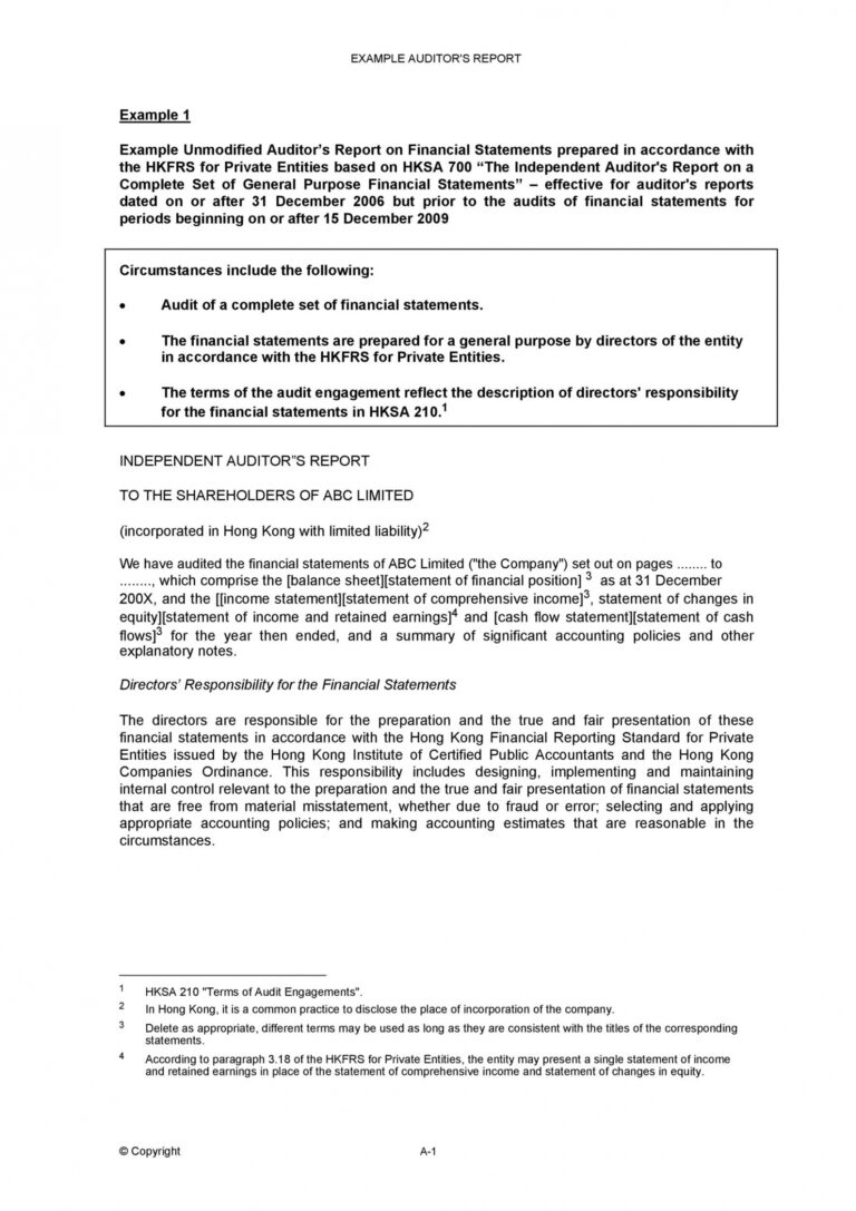 Follow Up Audit Report Template