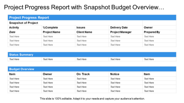 Printable Multiple Project Progress Report Template Excel - Tacitproject